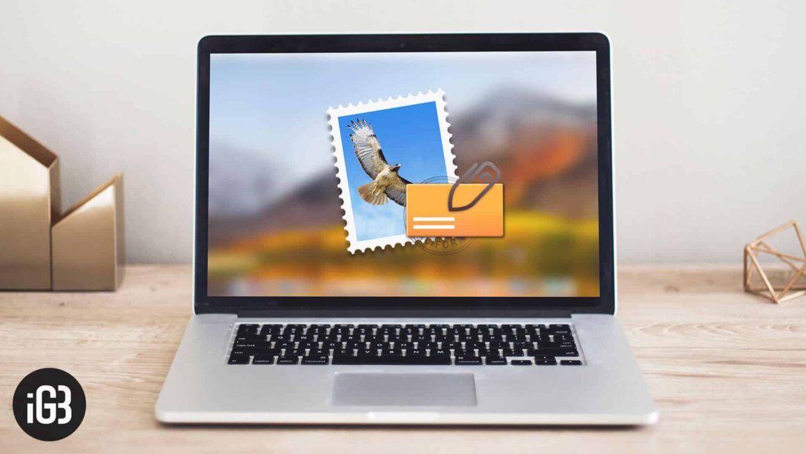 How to Stop Mail App from Automatically Downloading Attachments on Mac - iGeeksBlog