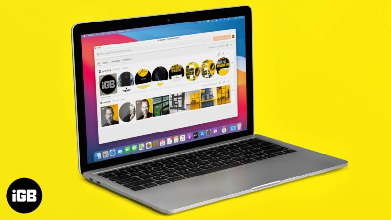 4K Stogram: Easily Download Instagram Photos & Stories - iGeeksBlog