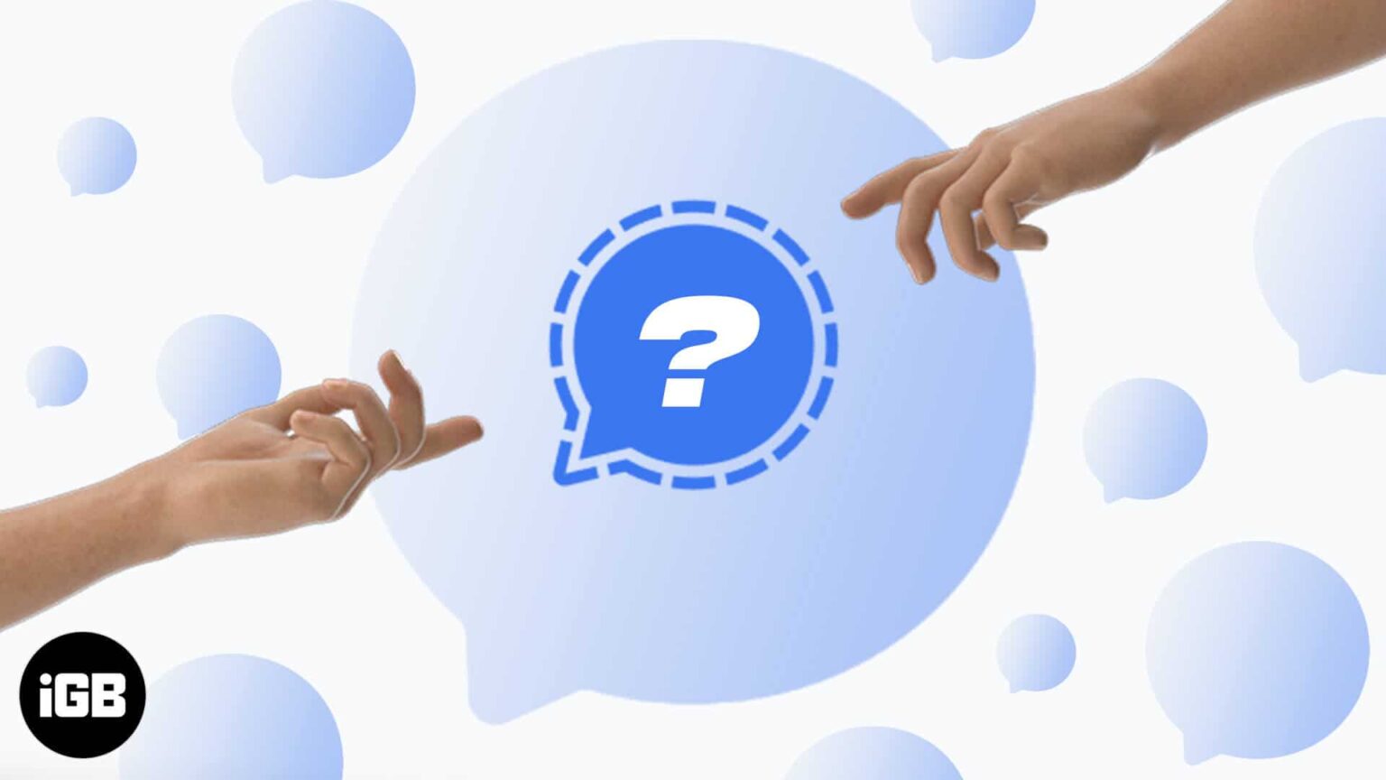 How to use Signal app on iPhone - iGeeksBlog