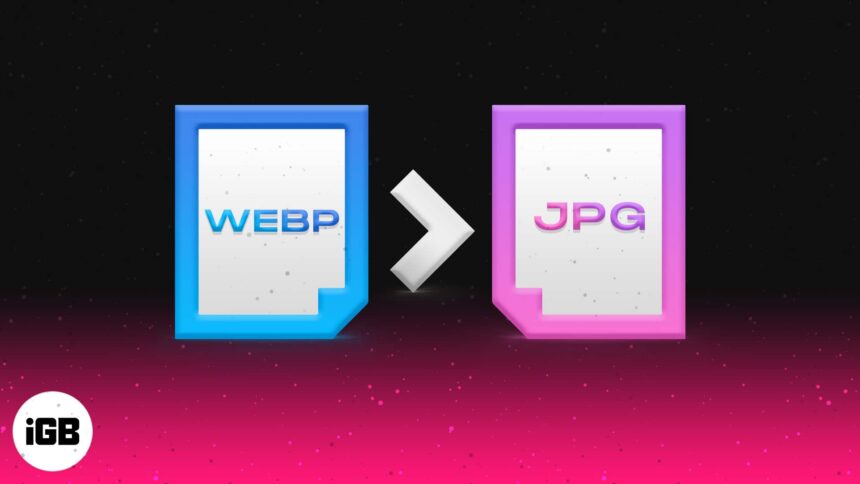 How to convert WebP images to JPG or PNG on Mac (3 Ways) - iGeeksBlog