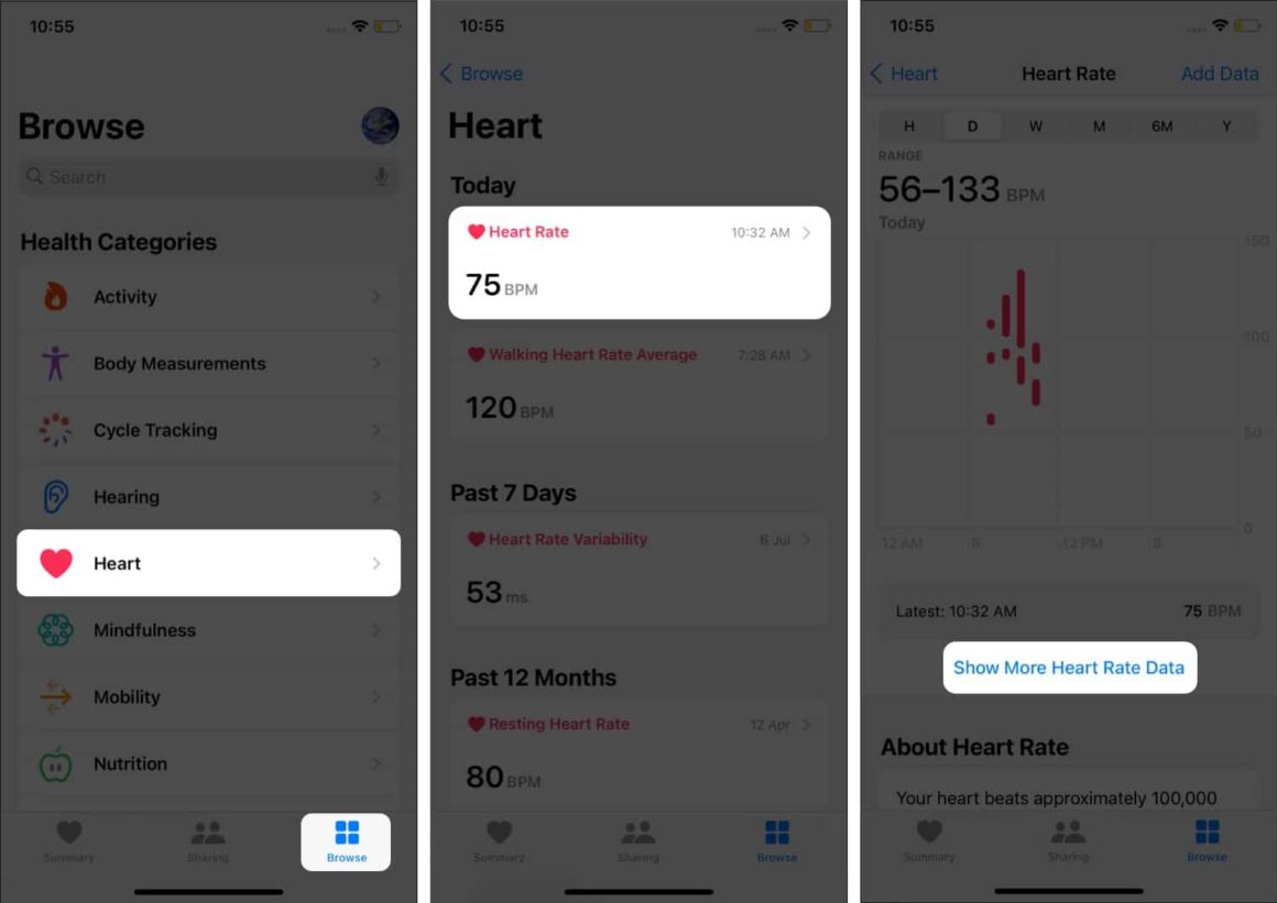 How to use the Mindfulness app on Apple Watch - iGeeksBlog