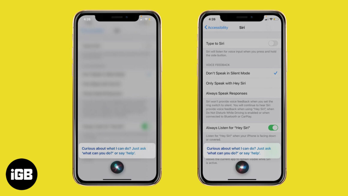 How to make full-screen Siri on iPhone - iGeeksBlog