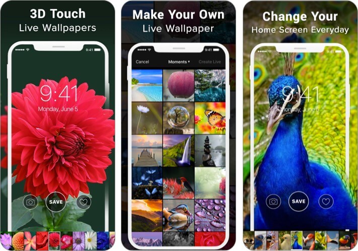 Best live wallpaper apps for iPhone in 2024 - iGeeksBlog