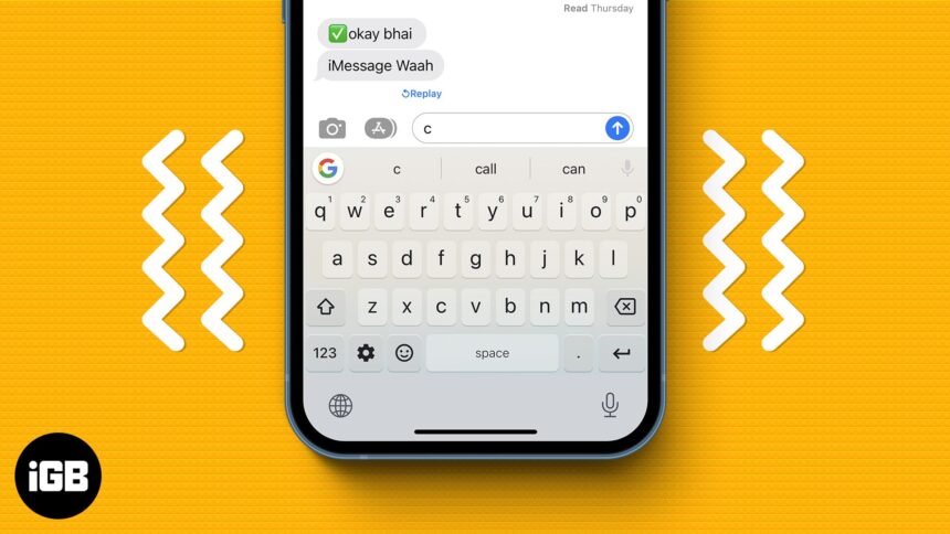How to make your iPhone vibrate when typing - iGeeksBlog