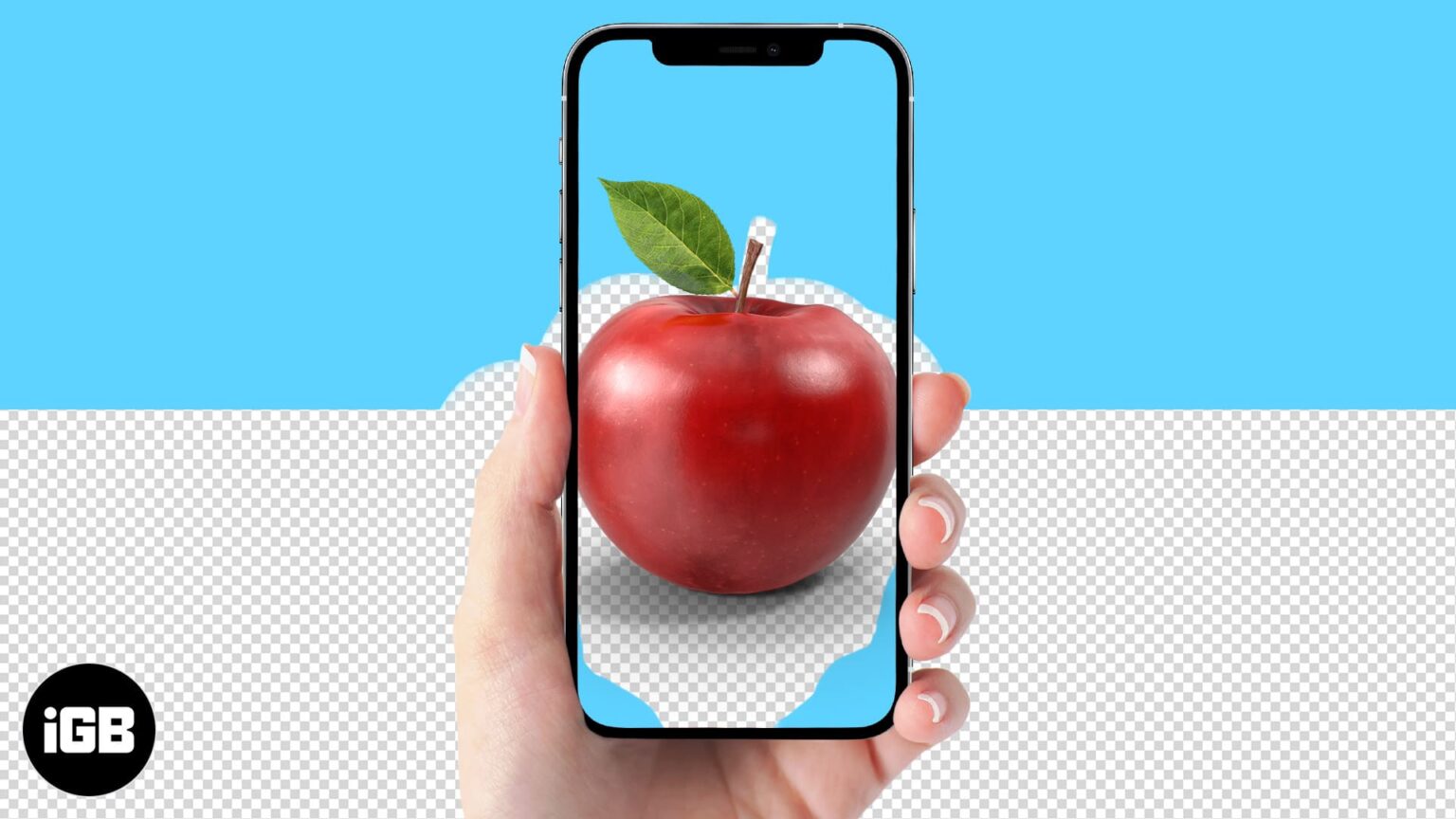 Best background eraser apps for iPhone in 2025 (Free and paid) - iGeeksBlog