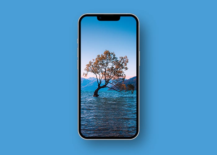 15 Worthy landscape wallpapers for iPhone in 2023 - iGeeksBlog