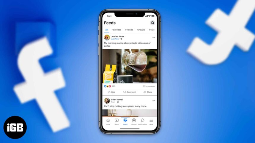 How to customize your Facebook feed on iPhone and iPad - iGeeksBlog