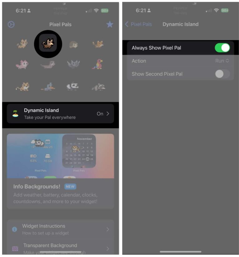 How to get Pixel Pals on iPhone 14 Pro and 14 Pro Max - iGeeksBlog