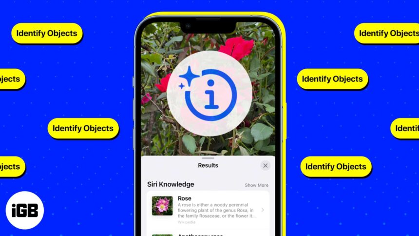 How to use Visual Look Up on iPhone and iPad