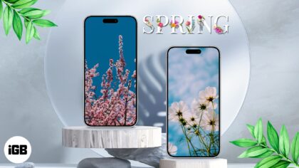 Stunning spring wallpapers for iPhone in 2024 (Free download) - iGeeksBlog
