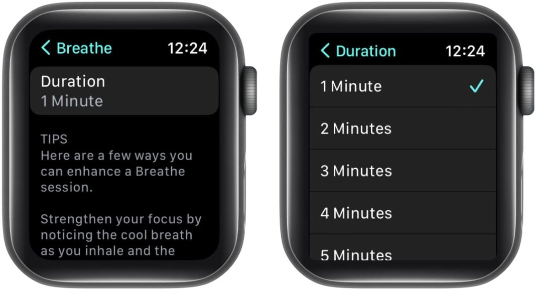 How to measure Heart Rate Variability (HRV) on Apple Watch - iGeeksBlog
