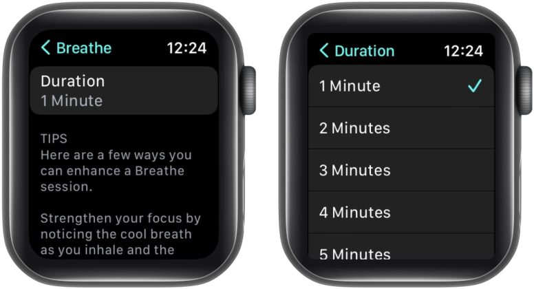How to measure Heart Rate Variability (HRV) on Apple Watch - iGeeksBlog