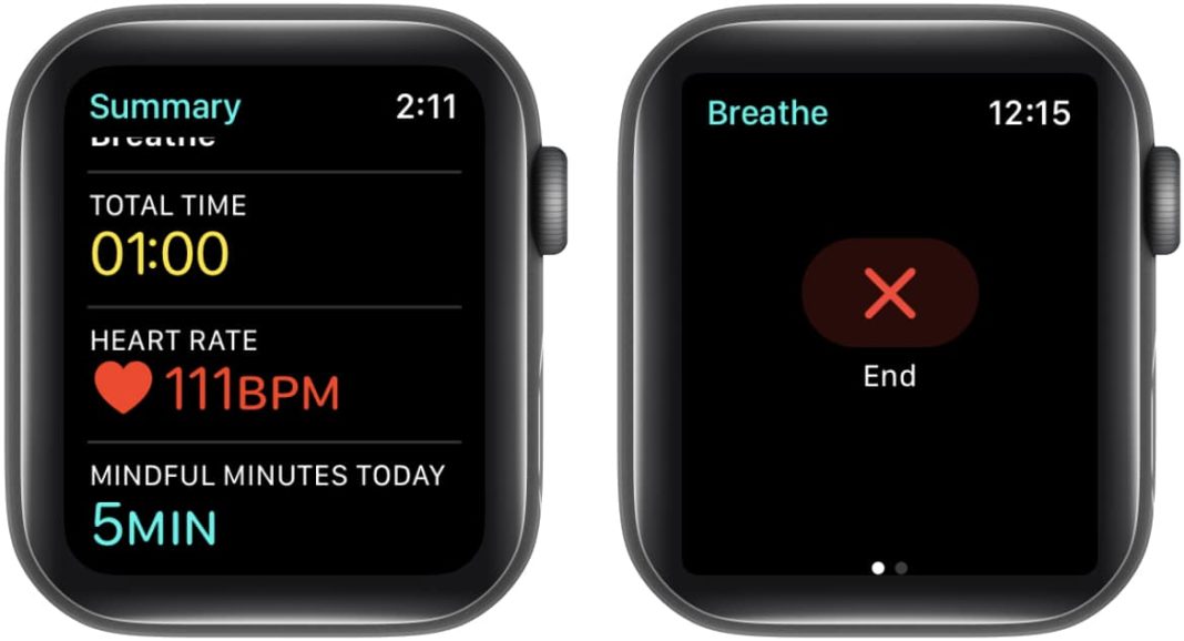 How to measure Heart Rate Variability (HRV) on Apple Watch – iGeeksBlog