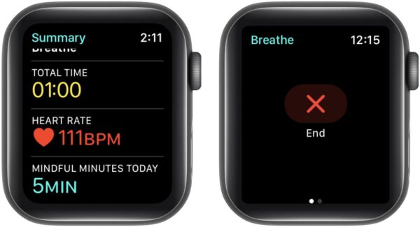 How to measure Heart Rate Variability (HRV) on Apple Watch – iGeeksBlog
