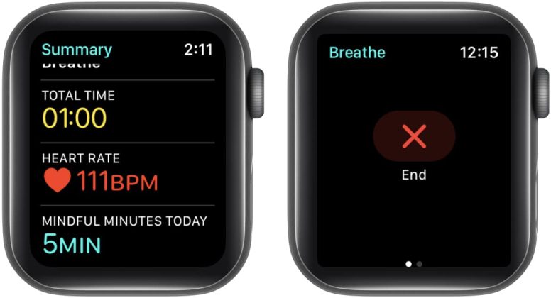 How to measure Heart Rate Variability (HRV) on Apple Watch - iGeeksBlog