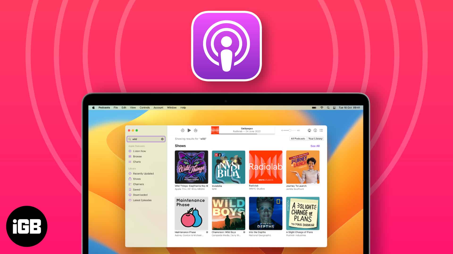 How to use Apple Podcasts app on Mac: Ultimate Guide! - iGeeksBlog