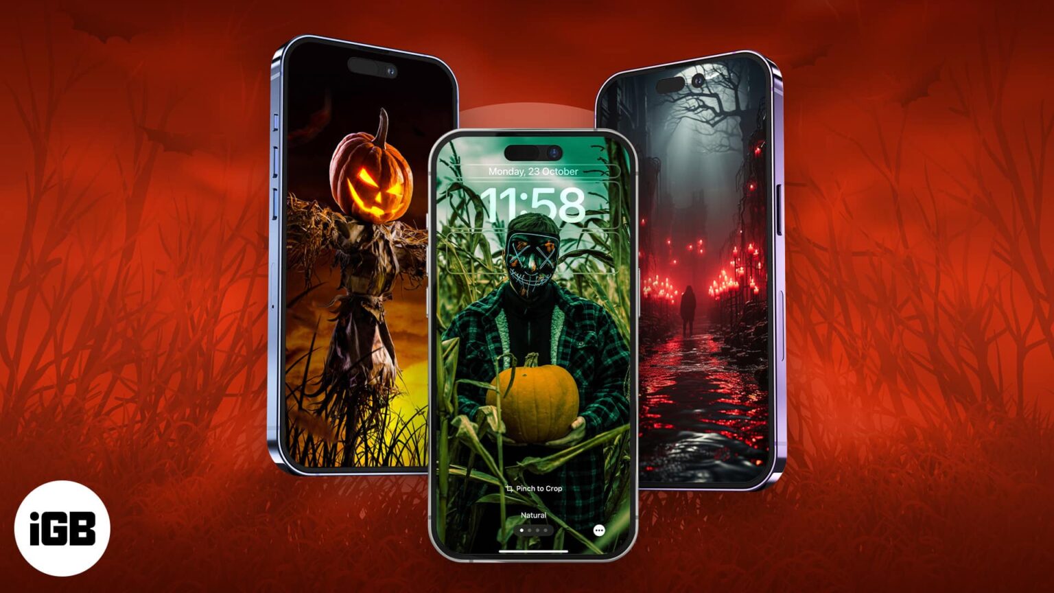 Spooky Halloween wallpapers for iPhone in 2023 - iGeeksBlog