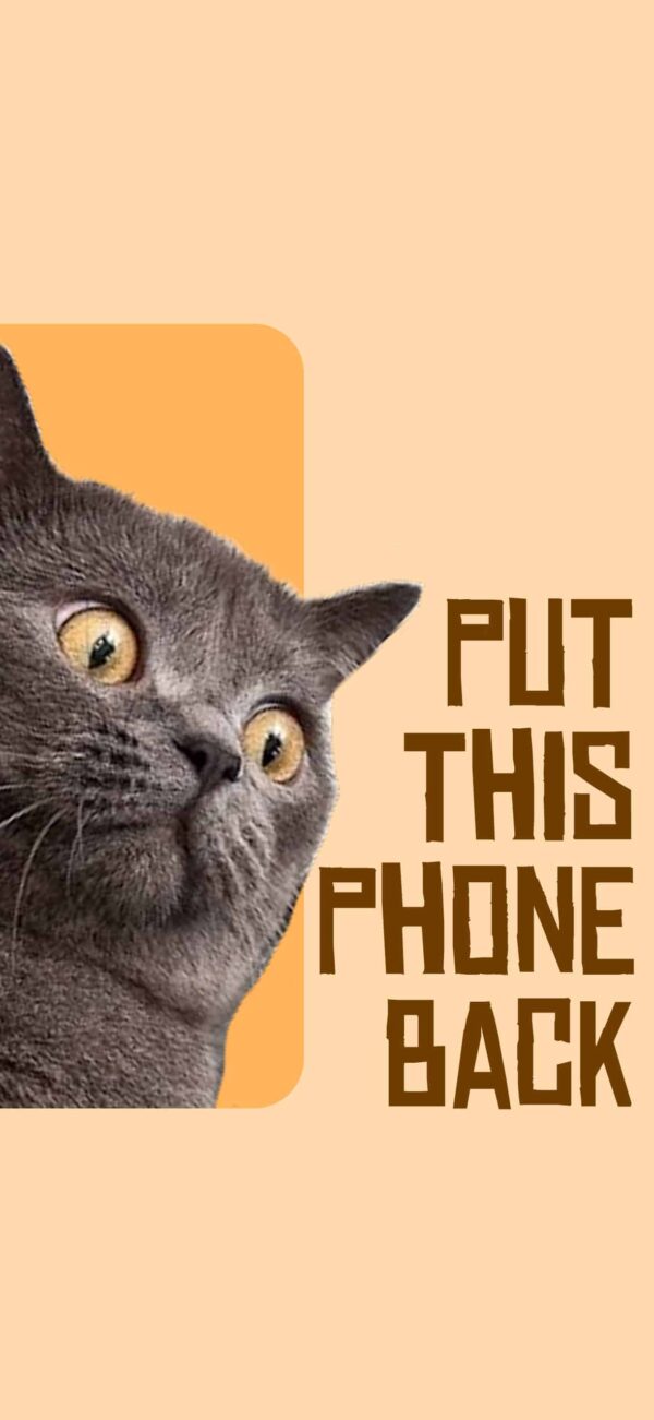 10 Best Funny iPhone Wallpapers in 2025 (Free 4K Download)