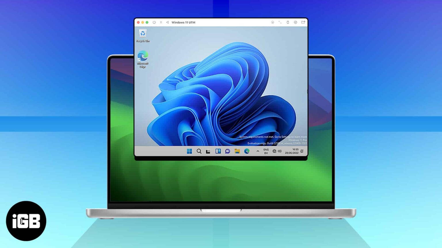 Best Windows emulators for Mac in 2025
