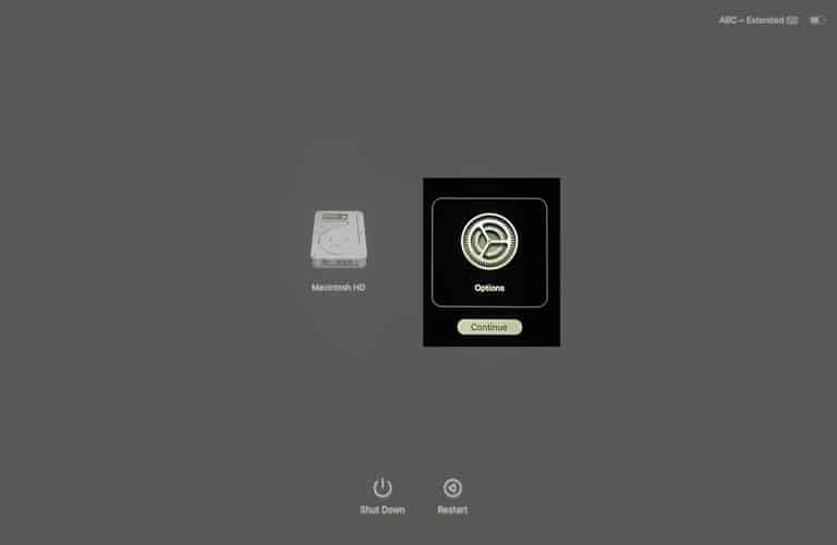 How to start Mac in Recovery Mode - iGeeksBlog