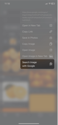 How to reverse image search on iPhone and iPad (Updated guide) – iGeeksBlog