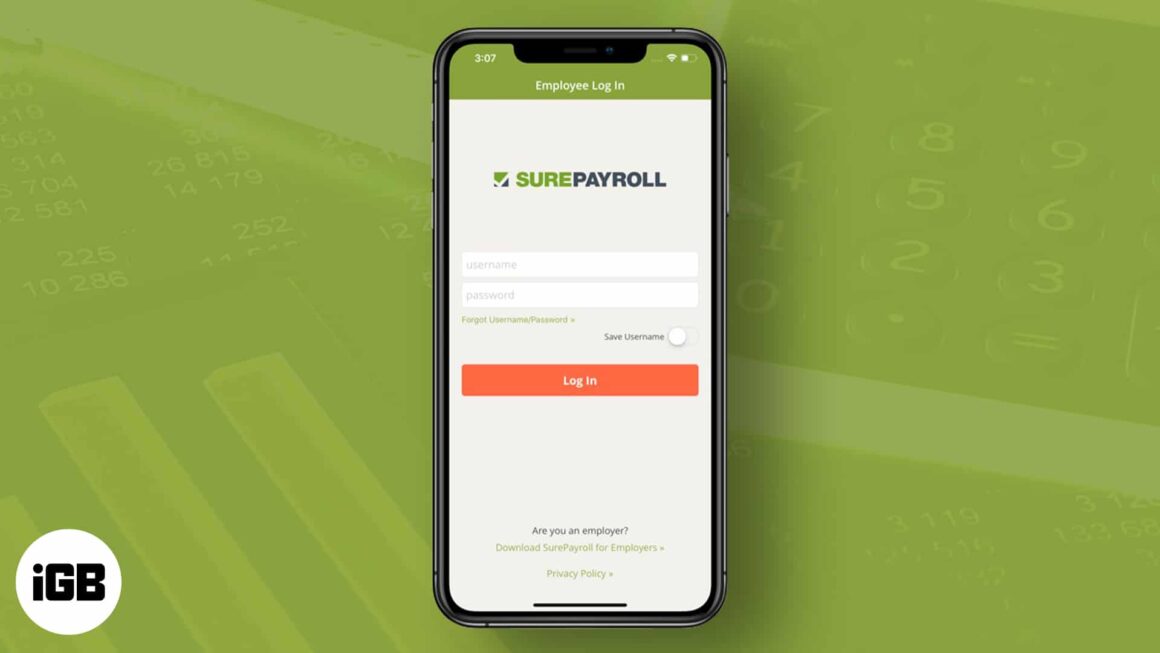 Best payroll apps for iPhone and iPad in 2025 - iGeeksBlog