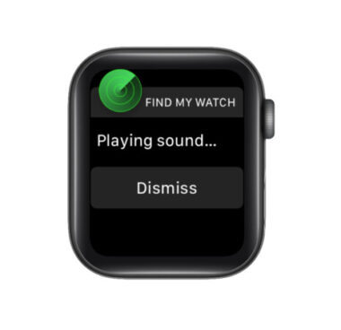 How to Find Apple Watch if Lost or Dead (Step-by-Step Guide) – iGeeksBlog