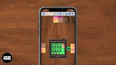 Best card games for iPhone and iPad in 2025 - iGeeksBlog