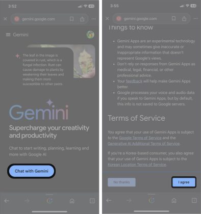 How to use Gemini AI on iPhone: A Complete Guide - iGeeksBlog