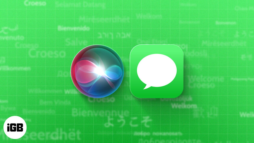iOS 17.4: How to set Siri to read messages in different languages - iGeeksBlog