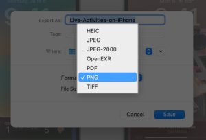 How to take a screenshot on Mac (Ultimate guide) - iGeeksBlog