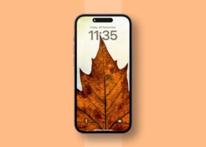 30 Stunning Depth Effect wallpapers for iPhone in 2024 - iGeeksBlog