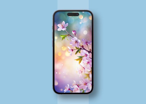 Download Spring wallpapers for your iPhone in 2024