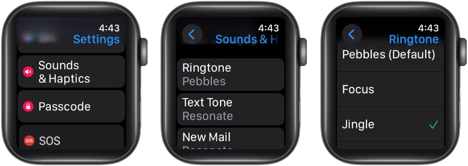 How to change Apple Watch ringtone - iGeeksBlog