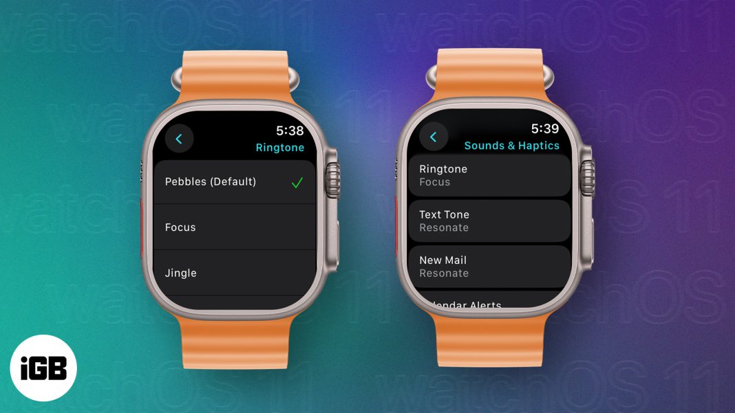 Apple Watch Not Ringing on Incoming Calls? Tips to Fix It - iGeeksBlog