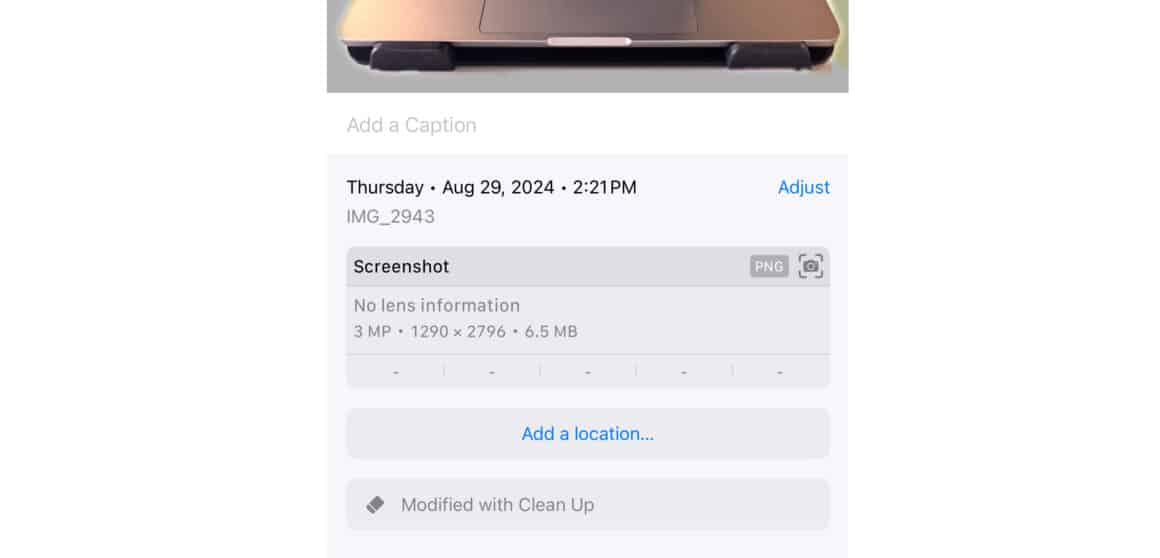 How to Use Clean Up to Remove Objects From Photos on iPhone - iGeeksBlog