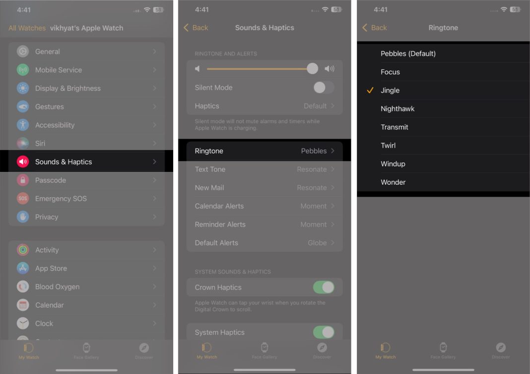 How to change Apple Watch ringtone - iGeeksBlog