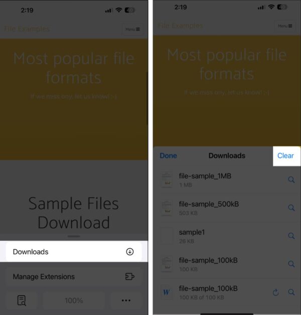 How to manage downloads in Safari on iPhone and iPad (2024 guide)