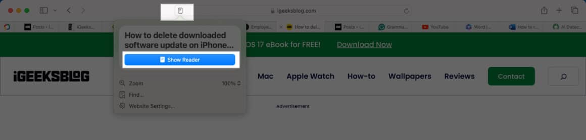 How to summarize webpages in Safari on iPhone and Mac