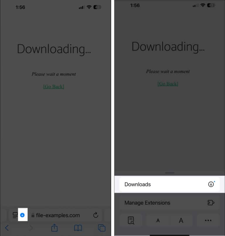 How to manage downloads in Safari on iPhone and iPad (2024 guide)