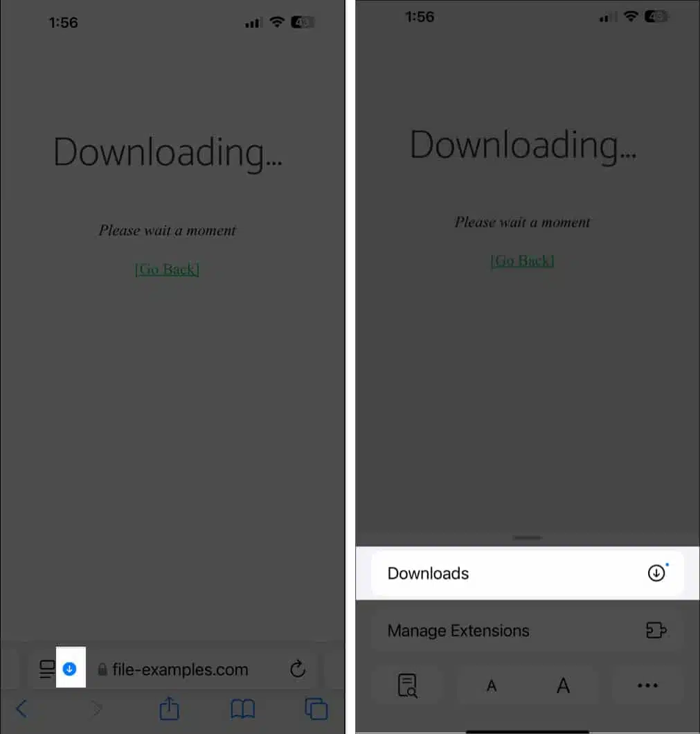 How to manage downloads in Safari on iPhone and iPad (2024 guide)
