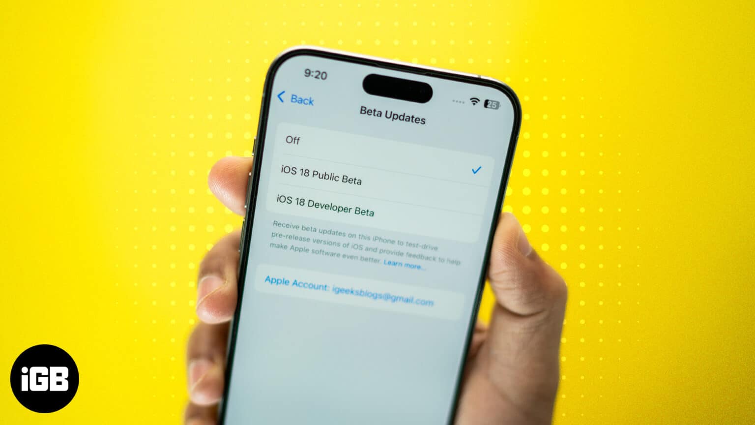 How to check data usage on iPhone - iGeeksBlog