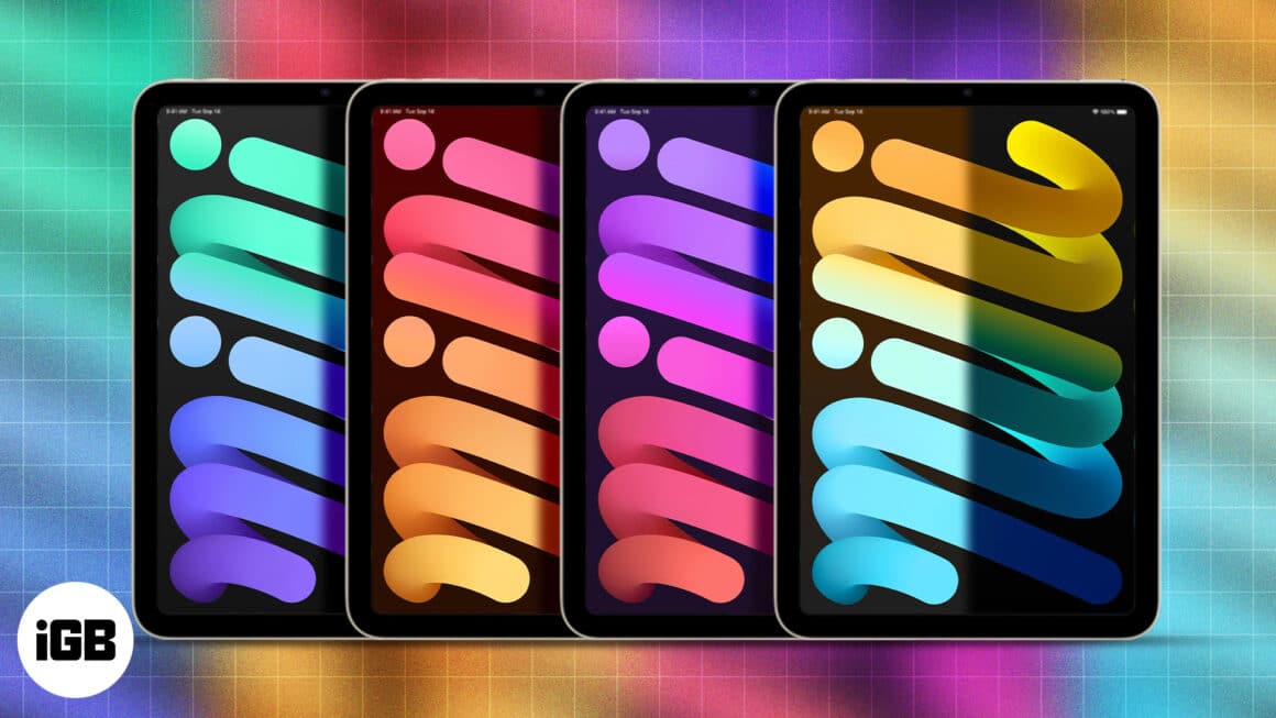 Download the iPad mini 6 and 7 wallpapers in 4K - iGeeksBlog