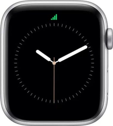 All Apple Watch Icons and Symbols Meanings Explained – iGeeksBlog