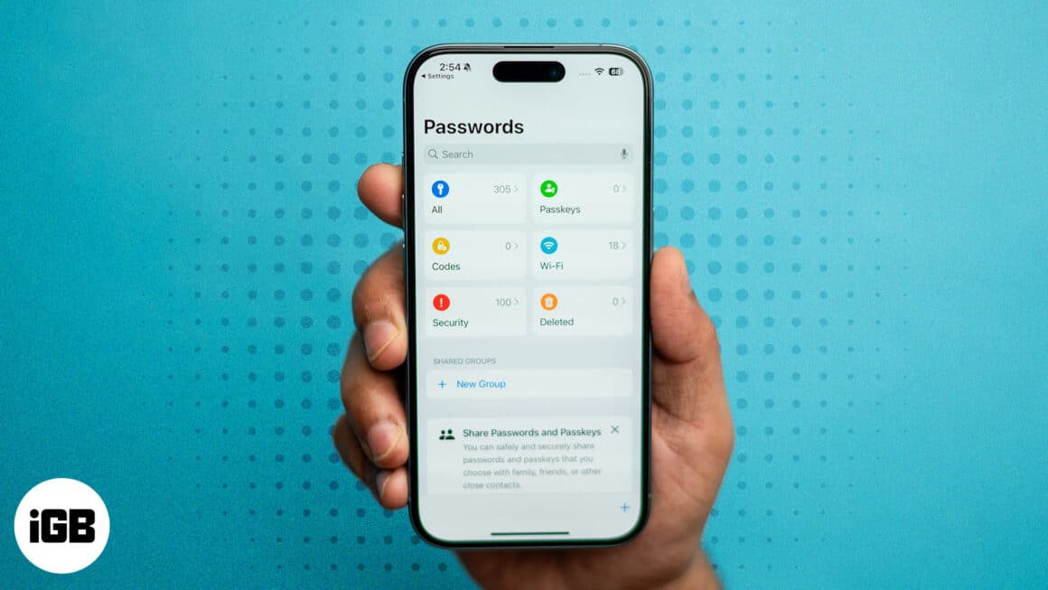 How to find saved passwords on iPhone in iOS 18 and earlier