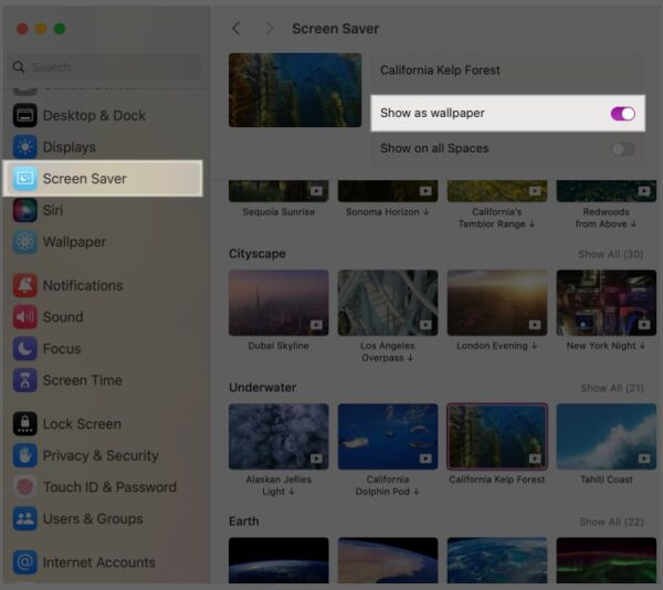How to get a live wallpaper for your Mac – iGeeksBlog