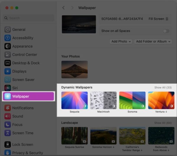 How to get a live wallpaper for your Mac – iGeeksBlog