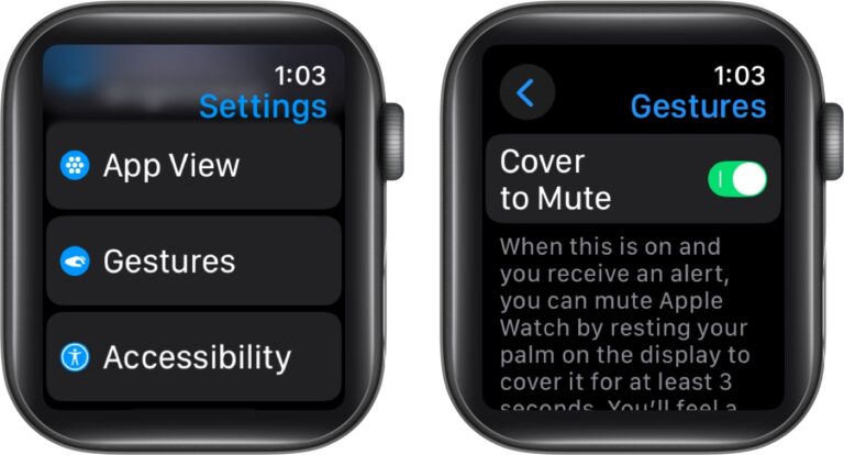 40+ Essential Apple Watch tips and tricks you should know – iGeeksBlog