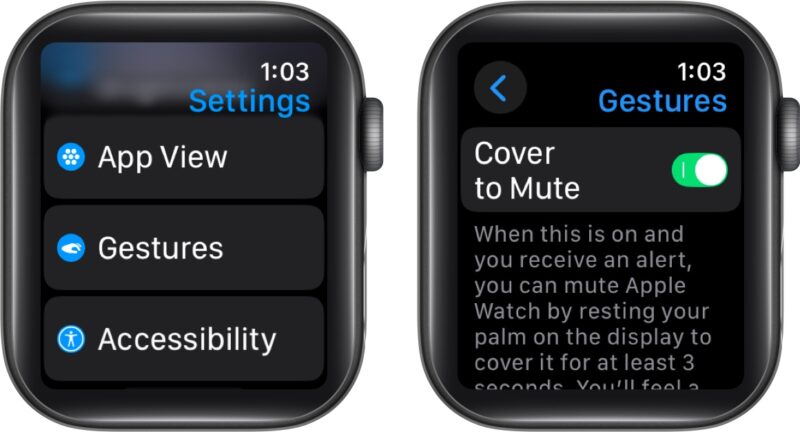 40+ Essential Apple Watch tips and tricks you should know – iGeeksBlog