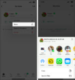 How to use WhatsApp Status on iPhone like a pro - iGeeksBlog